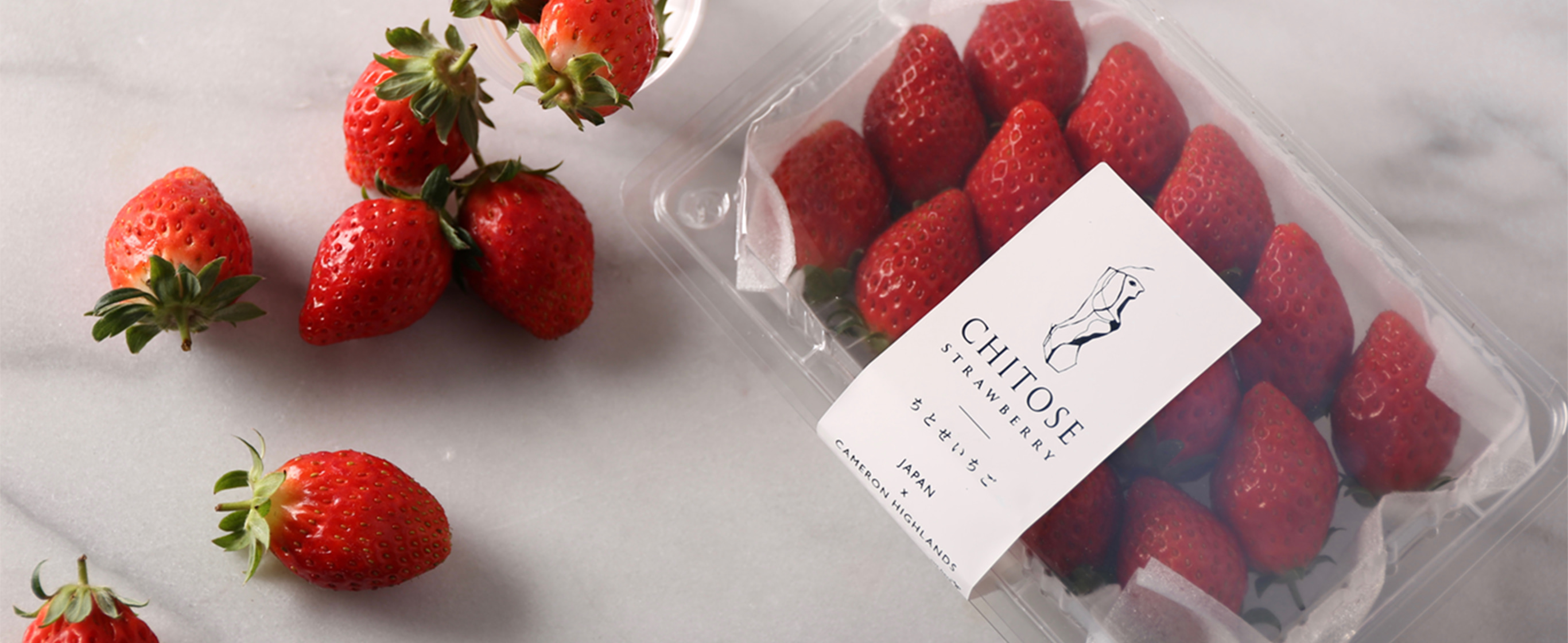 Chitose Agriculture Initiative Pte. Ltd. | Family of Biotechnology ...